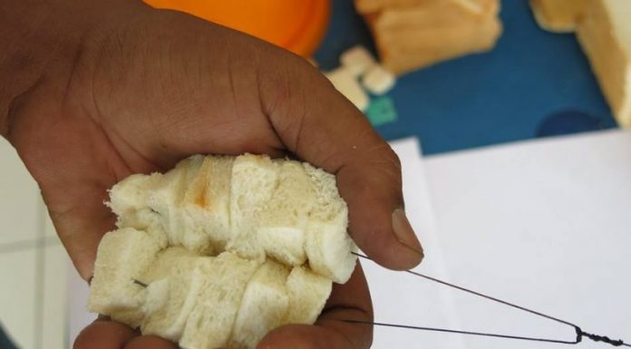 Taktik & Teknik Guna Umpan Roti