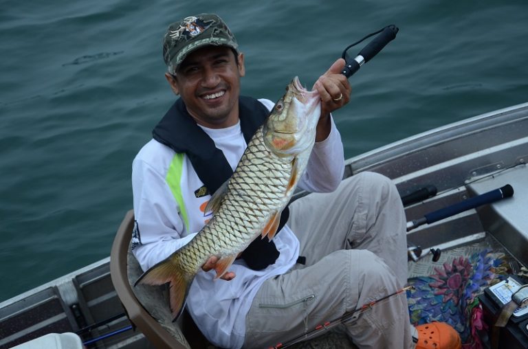 Info Spesies - Kenali Ikan Sebarau ® - Umpan