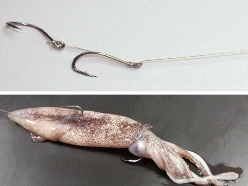 Umpan Knot - Cara Buat Perambut Barracuda - Umpan