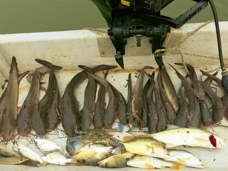 Trip Retro - Lubuk Sembilang Kuala Lukut - Umpan