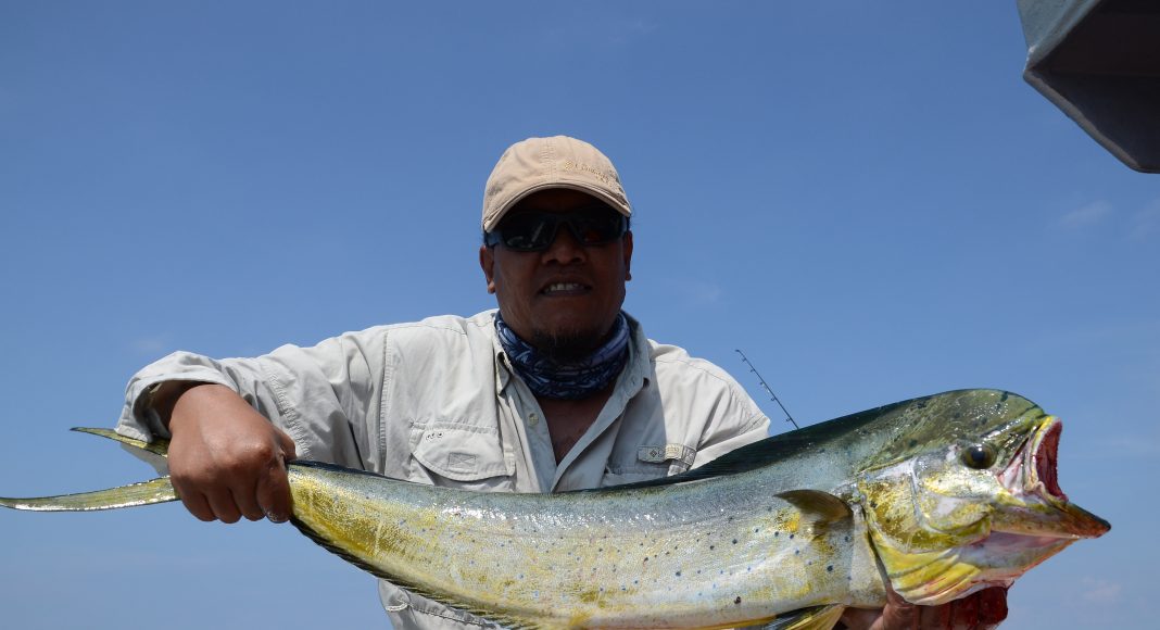 Mengenal Identiti Kumpulan Ikan Gerut-Gerut