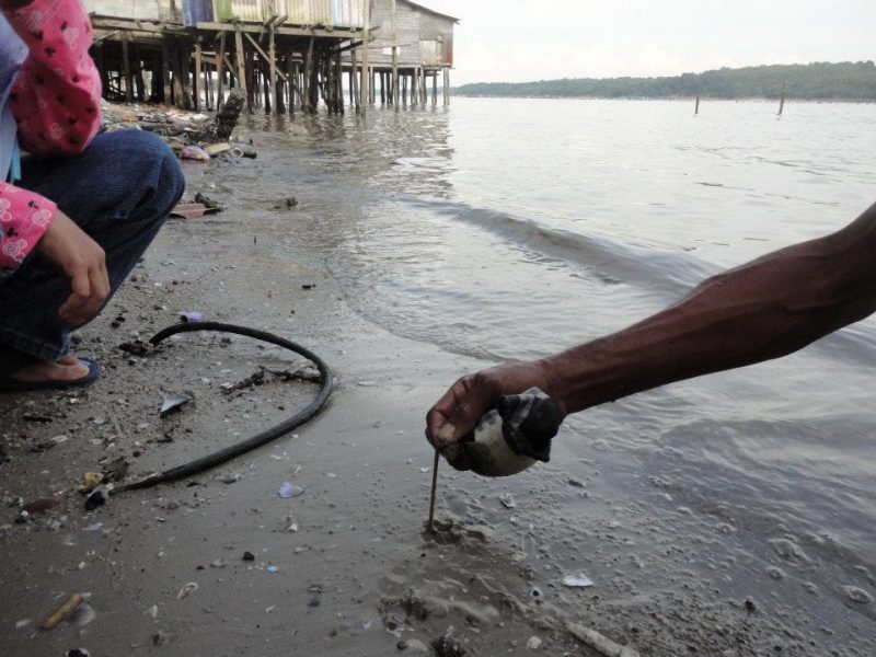 Cara Mudah Nak Cari Umpun-Umpun Pasir - Umpan