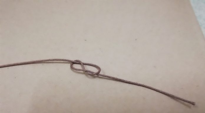 Asas Ikatan - Figure 8 Knot