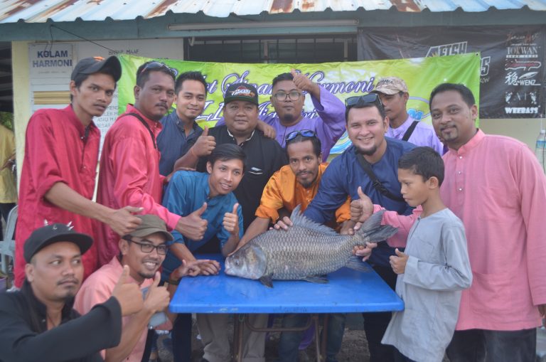 Mengenal Identiti Ikan Lampam Asli Tempatan - Umpan