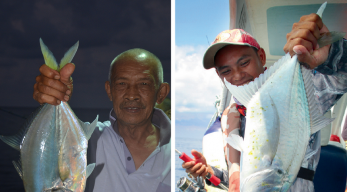 Ramai Yang Tak Tahu Perbezaan Ikan Ketarap Dan Bayan - Umpan